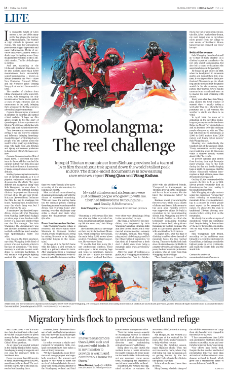 Migratory birds flock to precious wetland refuge - Chinadaily.com.cn