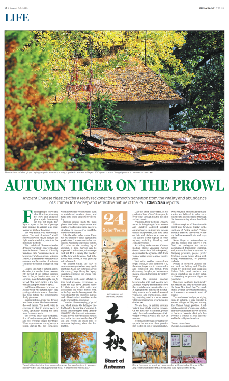 AUTUMN TIGER ON THE PROWL - Chinadaily.com.cn