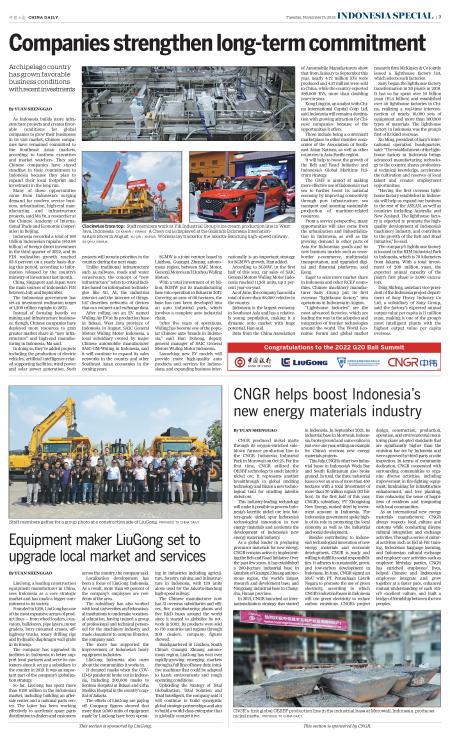 CNGR helps boost Indonesia's new energy materials industry - Chinadaily.com.cn