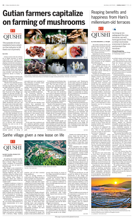 Gutian farmers capitalize on farming of mushrooms - Chinadaily.com.cn