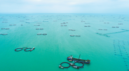 City makes great strides as seed industry center - Chinadaily.com.cn