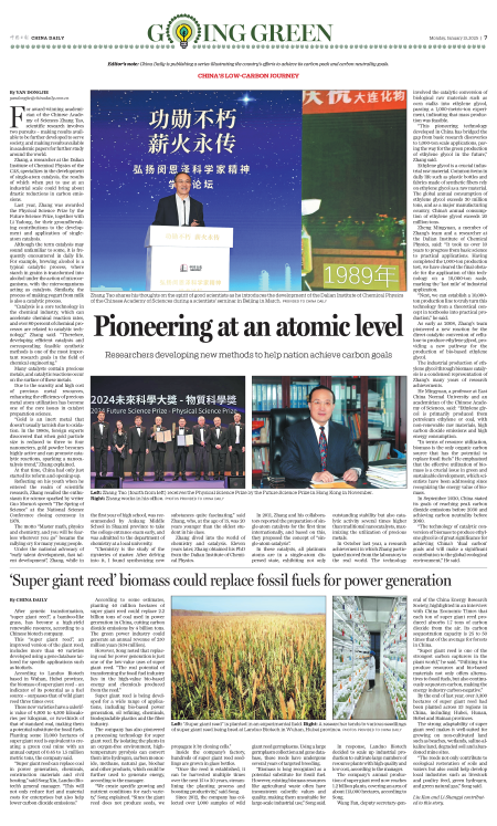 'Super giant reed' biomass could replace fossil fuels for power ...