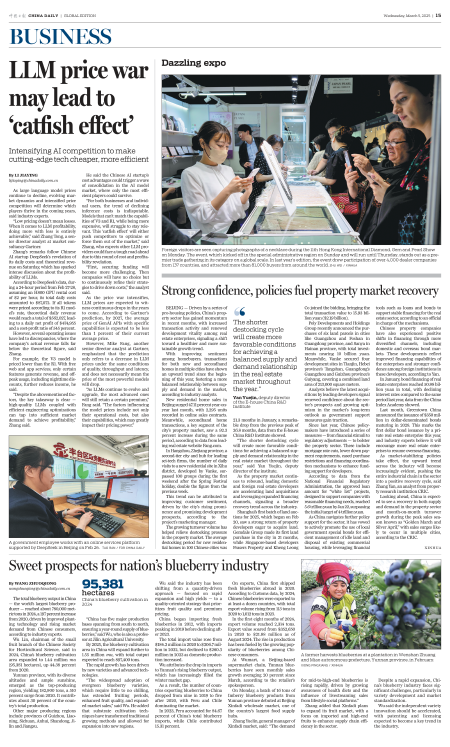 LLM price war may lead to 'catfish effect' - Chinadaily.com.cn