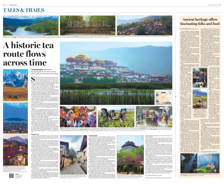 A historic tea route flows across time - Chinadaily.com.cn