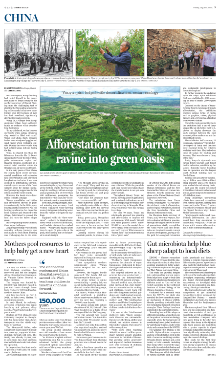 Afforestation turns barren ravine into green oasis - Chinadaily.com.cn