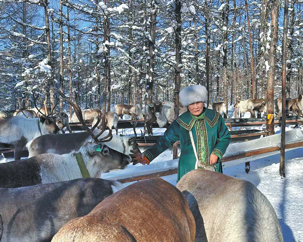 Reuniting with their reindeer - Chinadaily.com.cn
